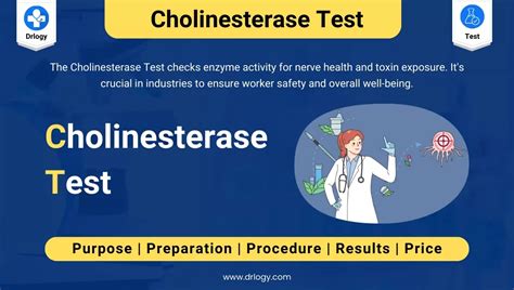 Cholinesterase Test Meaning Price Procedure And Results Drlogy