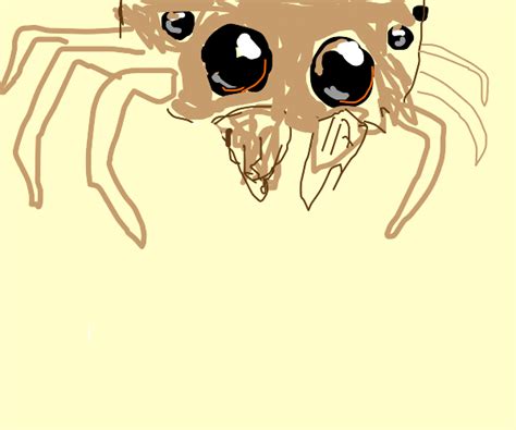 Spider Drawception