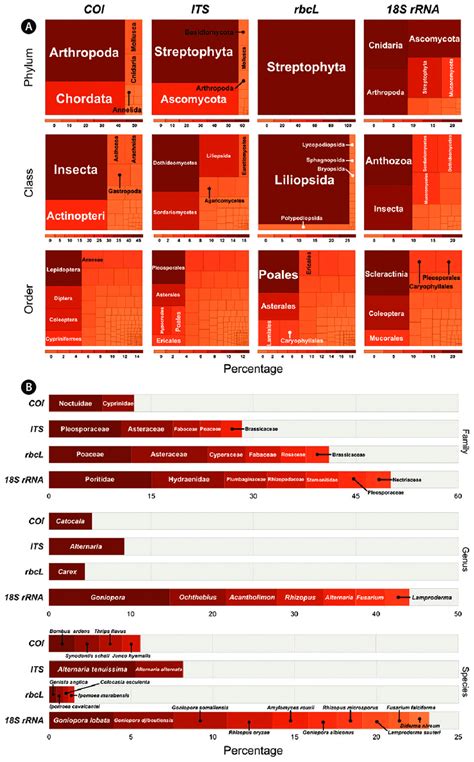Percentage Of Erroneous Barcode Sequences Ebs At Each Taxon Level