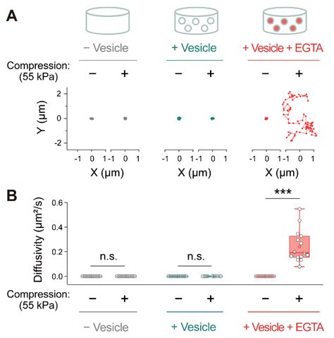 Characterization Of Hydrogel Degradation Through Brownian Motion Download Scientific Diagram