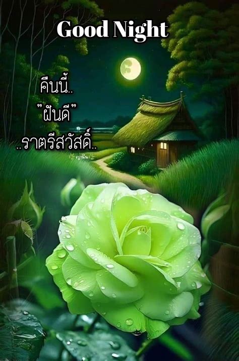 หลับฝันดี😴 ราตรีสวัสดิ์ ฝันดีราตรีสวัสดิ์ รูปตลก