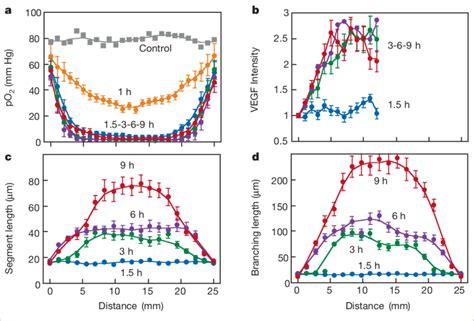 Measurement Of Spatial And Temporal Gradients Of Po 2 And Vegf And
