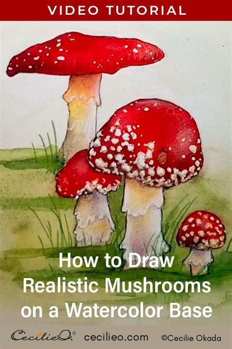 How To Draw A Realistic Mushroom Watercolor Paintings For Beginners Stuffed Mushrooms
