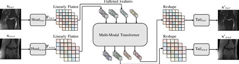 [pdf] Multimodal Transformer For Accelerated Mr Imaging Semantic Scholar