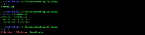cyberchampions ctf forensics hard challenge freem3 by yousef