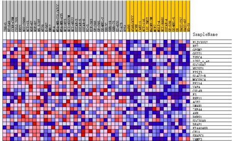 GSEA分析结果详细解读 Public Library of Bioinformatics