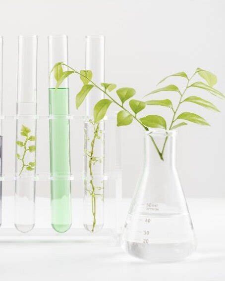 Nutrition And Healing Center Functional Lab Testing