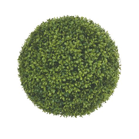 Green Murraya Ball Plant At ₹ 1100number In Coimbatore Id 4097337897