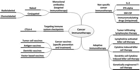 Classification Of Various Types Of Immunotherapy Download Scientific