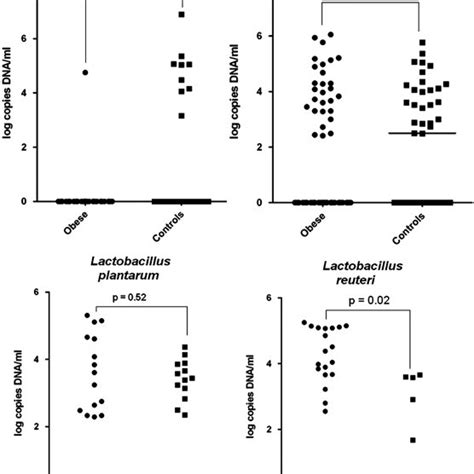 Quantification Of L Paracasei L Plantarum And L Reuteri In Culture