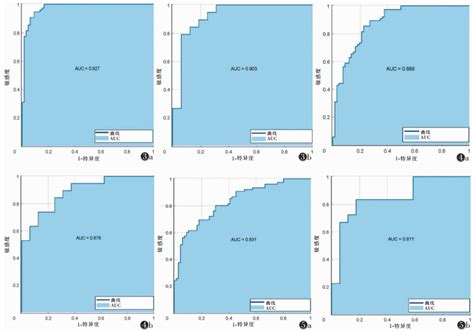 基于肺部ct影像组学的慢性阻塞性肺疾病中医辨证分型自动分类算法研究