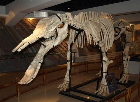 Hubei Geological Museum