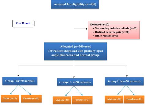 Figure 1 From Primary Open Angle Glaucoma Diagnosis Using Pattern Electroretinogram Parameters