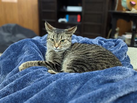 Best Annoying Images On Pholder Whenthe Wholesomeanimemes And Animemes