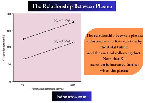 Regulation Of Potassium Balance Bds Notes