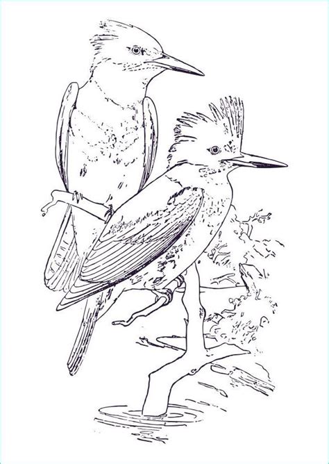 Coloriage Martin Beau Photos Coloriage Martin Pcheur Coloriages