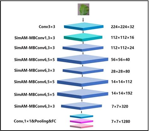 Simam Efficientnet Structure Download Scientific Diagram