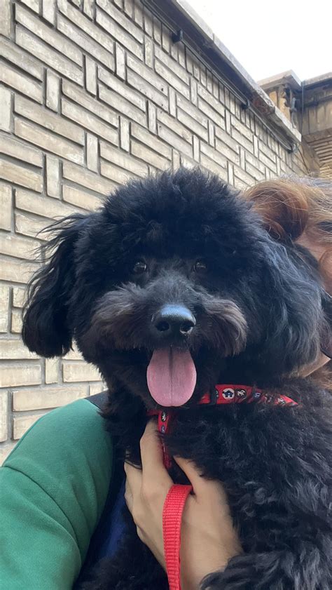 Loobia🫛 Loobianmommy • Instagram Photos And Videos