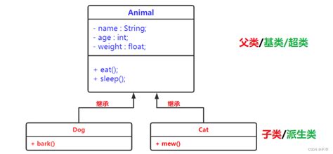 Java基础——继承子类中新增成员函数 Csdn博客