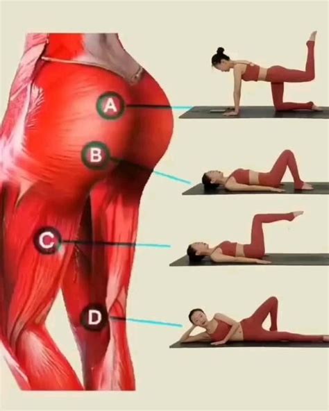 Bigger Buttocks Workout Exercises Lower Belly Workout Workout
