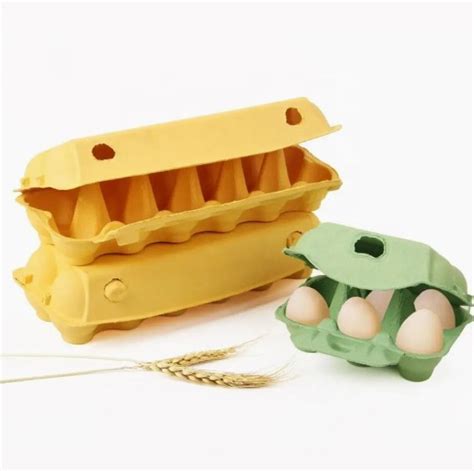 Custom Color Biodegradable Paper Chicken Egg Cartons Manufacturers