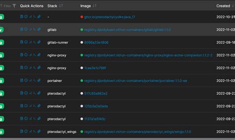 Container List Shows Image Hash Instead Of The Associated Image Tag