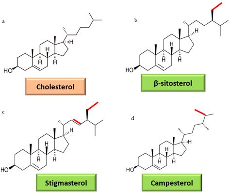 Stigmasterol Structure