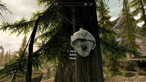 BEES Skyrim SE Part 28 YouTube