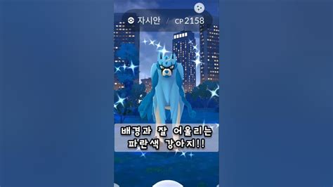 자시안 드디어 돌아왔구나 거기에 이로치를 곁들인 포켓몬고 포고 Youtube