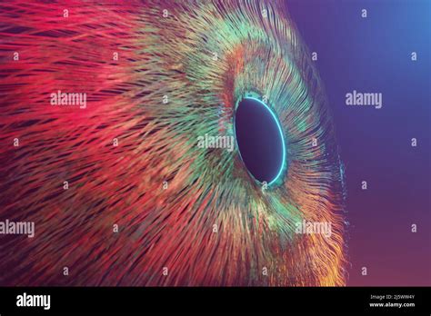Abstract Eye Background Centric Motion Of Star Trails Starburst Dynamic Lines Or Rays 3d
