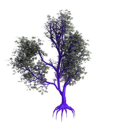 Tree Isolated On Transparent 21277684 PNG