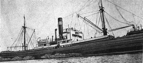 Niobe Untergang Der Letzte Noch Überlebende Berichtet