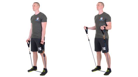 Как быстро накачать бицепс советы и упражнения для домашних условий