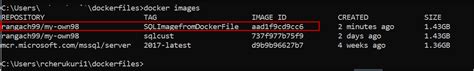 Creating Your Own Sql Server Docker Image