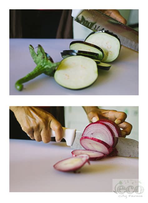 Recipe Sautéed Eggplant Avocado Salad Eco City Farms