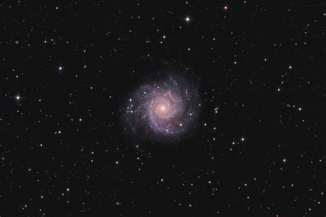 M74