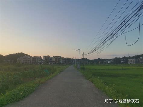 系统解剖学 第十三章 感受器（概述）思维导图 知乎