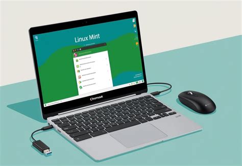 How To Install Linux Mint On Chromebook Step By Step Guide Position Is Everything