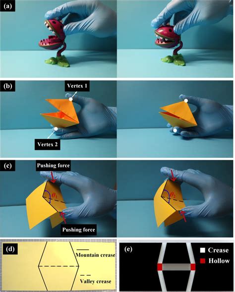 Inspiration Of The Origami Chomper Based Flexible Gripper A The