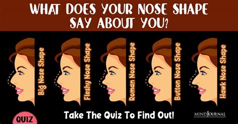 Zodiac Nose Shapes