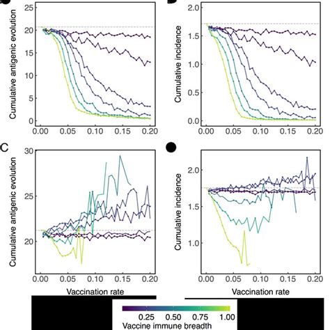 Across All Simulations Aandb Vaccination Decreases The Average A