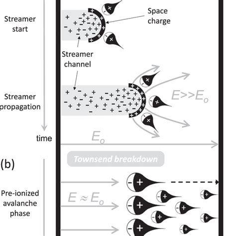 Development Of A Positive Streamer Due To Electron Avalanches And Space Download Scientific