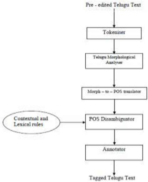 Rule Based Pos Tagger 24 Download Scientific Diagram
