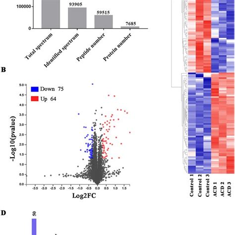 Distinct Protein Profile Of Acd And Control Mice A The Basic
