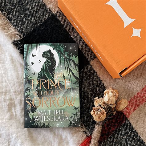 The Prince Without Sorrow By Maithree Wijesekara Book Only Illumicrat Illumicrate Us