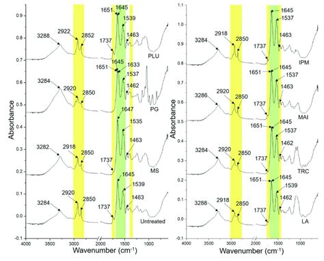 Comparisons Of Atr−ftir Spectra Of Untreated Porcine Sc Sheets And Download Scientific Diagram
