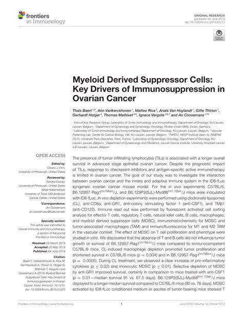 Pdf Myeloid Derived Suppressor Cells Key Drivers Of