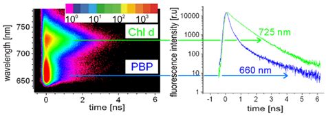 Color Intensity Plot CIP Of A Measurement On A Marina After Download Scientific Diagram