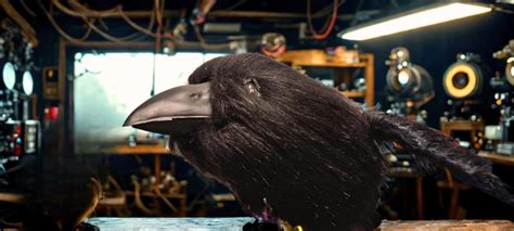 Devconfcz Devconf2025 Opensource Robotics Animatronics Anat Wax