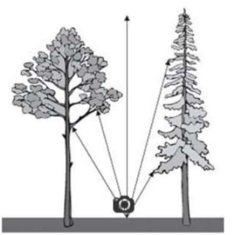 illustration of hemispherical photography method for measuring canopy